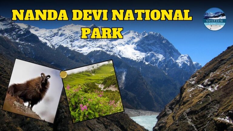 Nanda Devi National Park: A UNESCO World Heritage Site